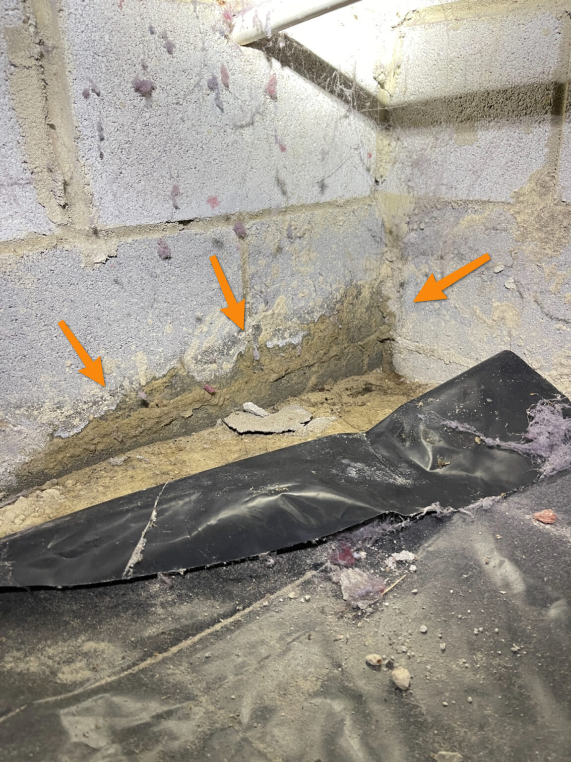 Crawl Space Water Intrusion Doherty Home Inspections - Doherty Home ...